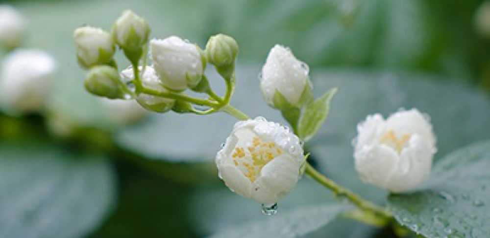 Por qué tan Temprano – tan temprano